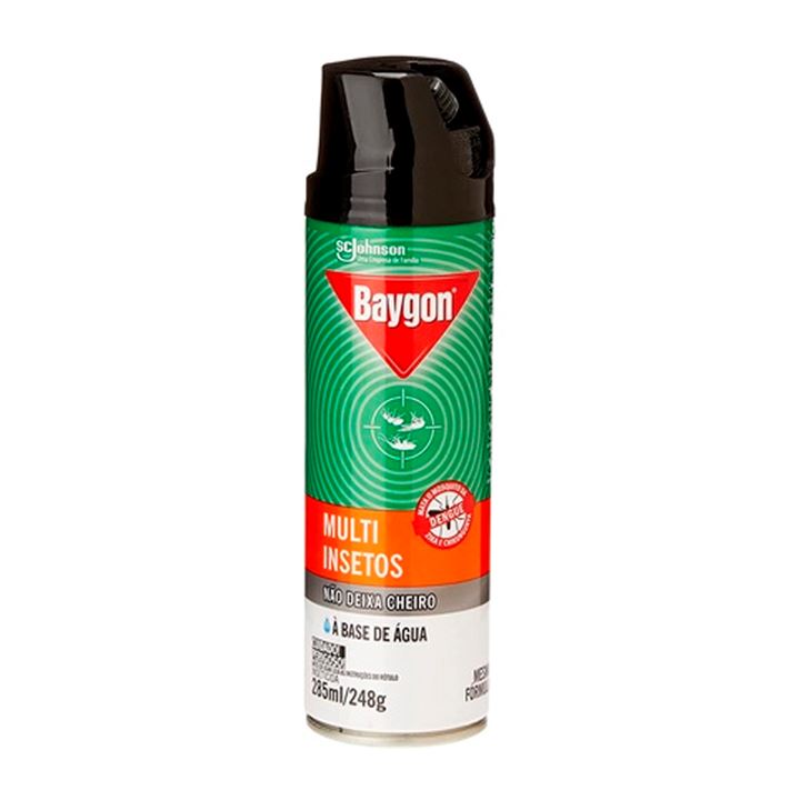 INSETICIDA AEROSOL MULTI INSETOS 300ML - BAYGON | Queiroz