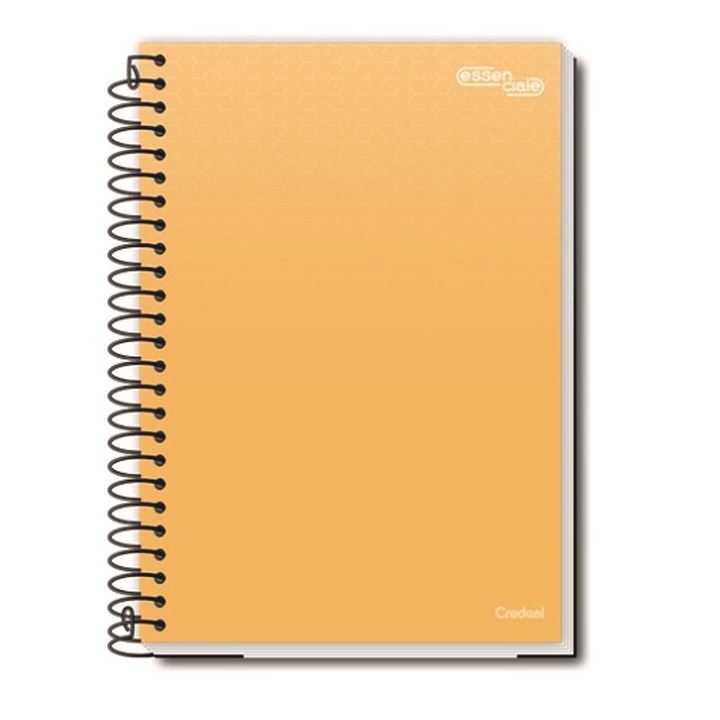 CADERNO UNIVERSITÁRIO 1 MATÉRIA CAPA DURA ESSENCIALE 80FL CREDEAL | Queiroz